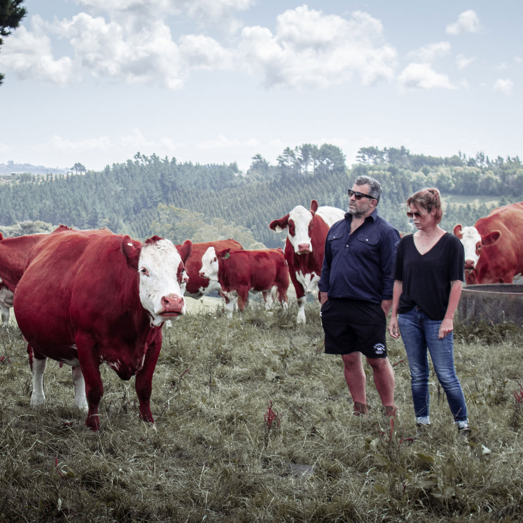 About Meat to You – Meat To You